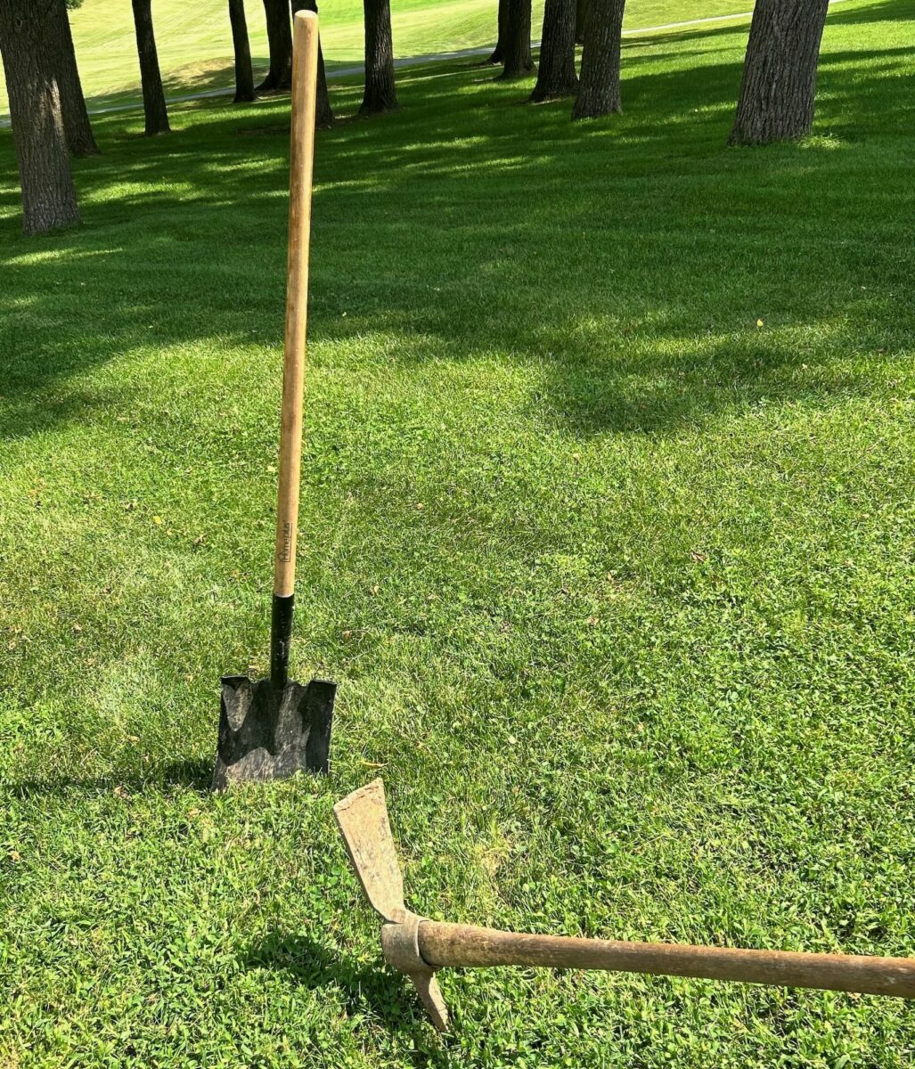 NVIDIA: Striking Gold in Tech's AI Rush